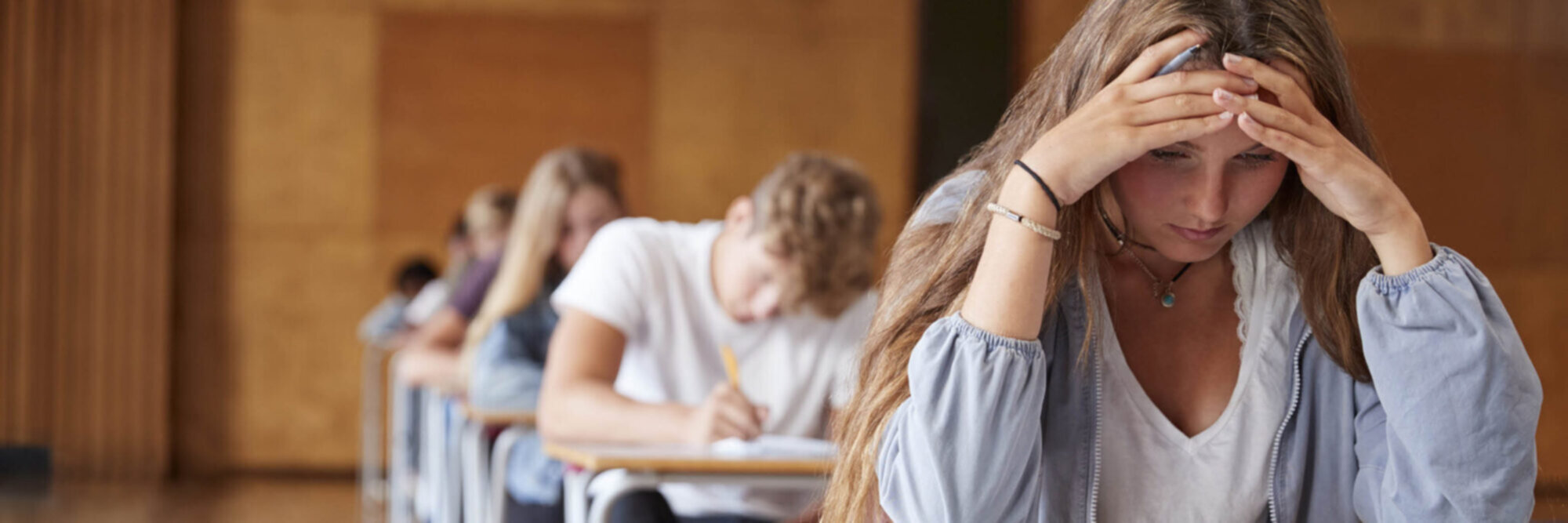 Exam Support - St Davids College