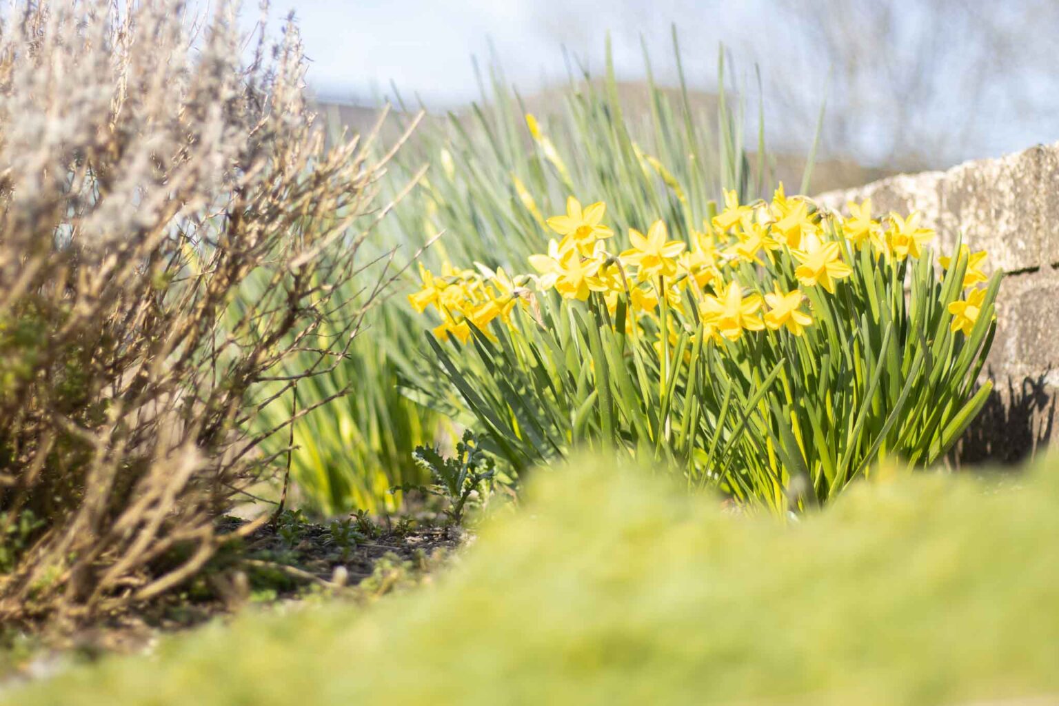 St David's Catholic Sixth Form College - Cardiff